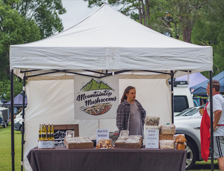 Meet Witta Markets – wittamarket